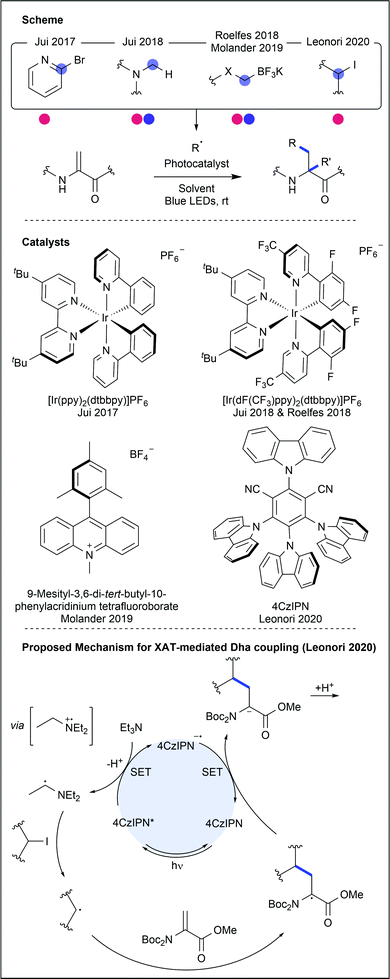 Photocatalytic methods for amino acid modification - Chemical Society ...