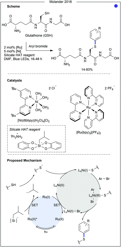 Photocatalytic methods for amino acid modification - Chemical Society ...