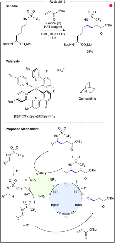 Photocatalytic methods for amino acid modification - Chemical Society ...
