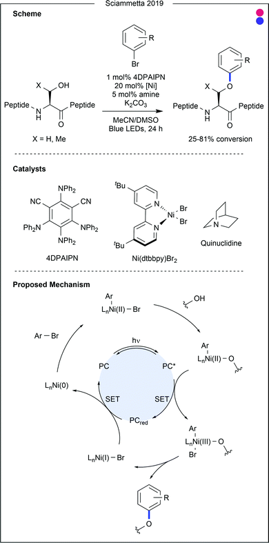 Photocatalytic methods for amino acid modification - Chemical Society ...