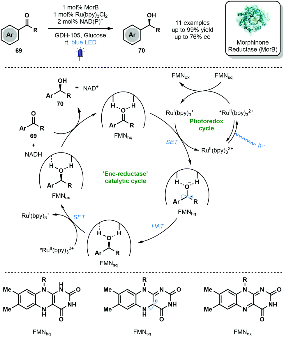 Recent advances in the chemistry of ketyl radicals - Chemical Society ...