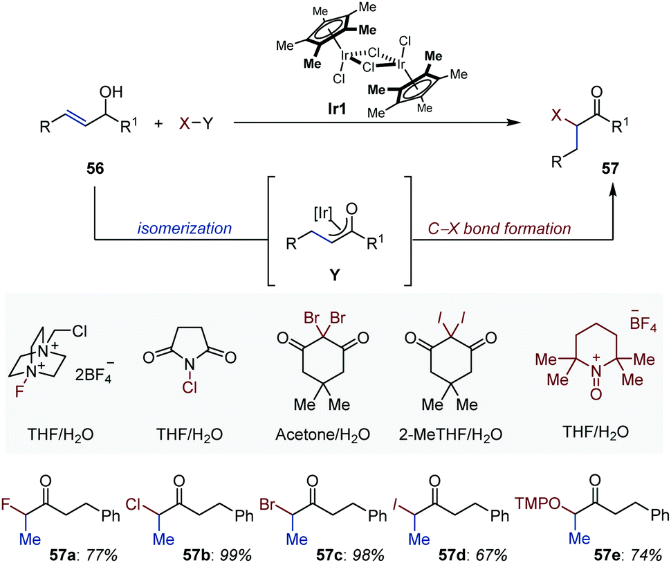Transition metal-catalyzed alkene isomerization as an enabling ...