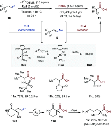 Transition metal-catalyzed alkene isomerization as an enabling ...