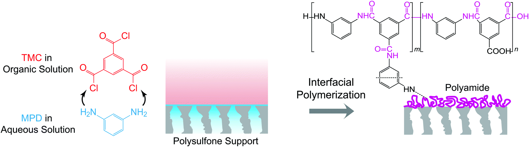 Fabrication of desalination membranes by interfacial polymerization ...