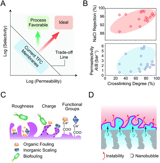 Fabrication of desalination membranes by interfacial polymerization ...