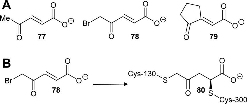 Racemases and epimerases operating through a 1,1-proton transfer ...