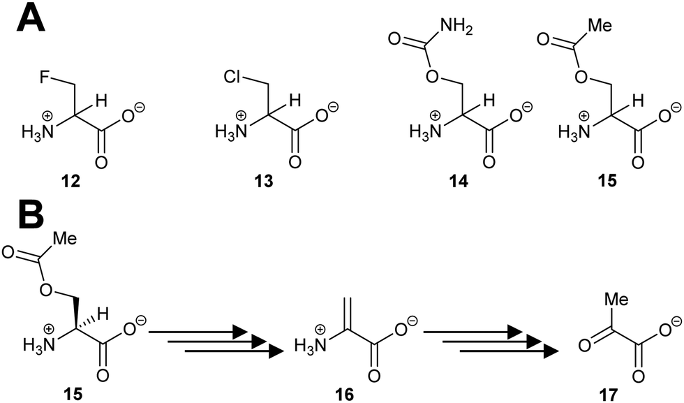 Racemases and epimerases operating through a 1,1-proton transfer ...