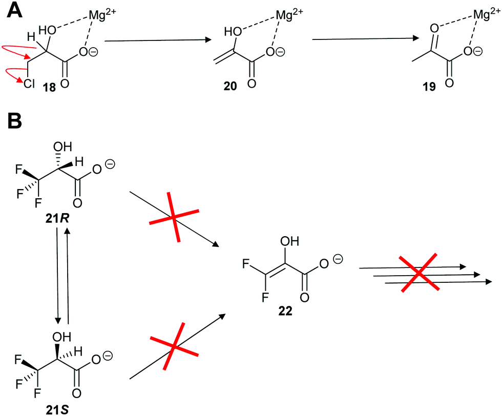 Racemases and epimerases operating through a 1,1-proton transfer ...