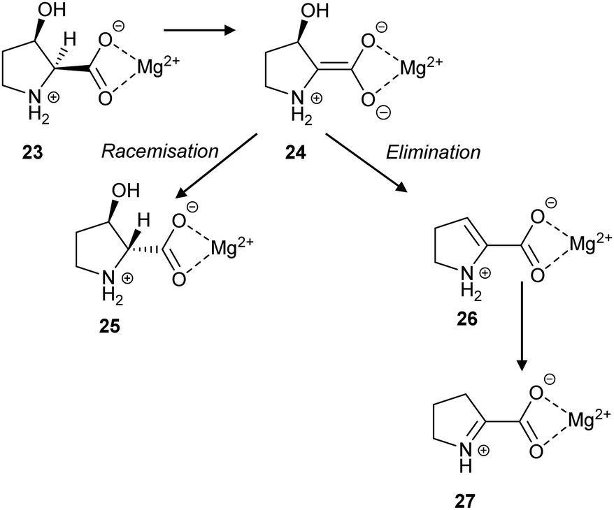 Racemases and epimerases operating through a 1,1-proton transfer ...