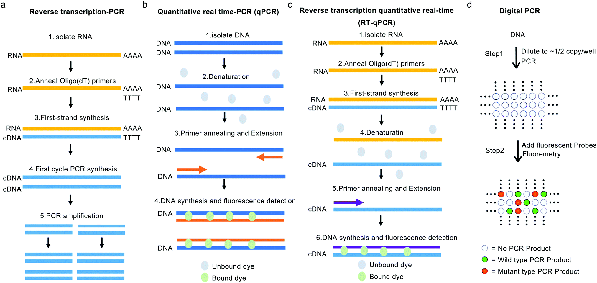 Detection of coronavirus in environmental surveillance and risk ...