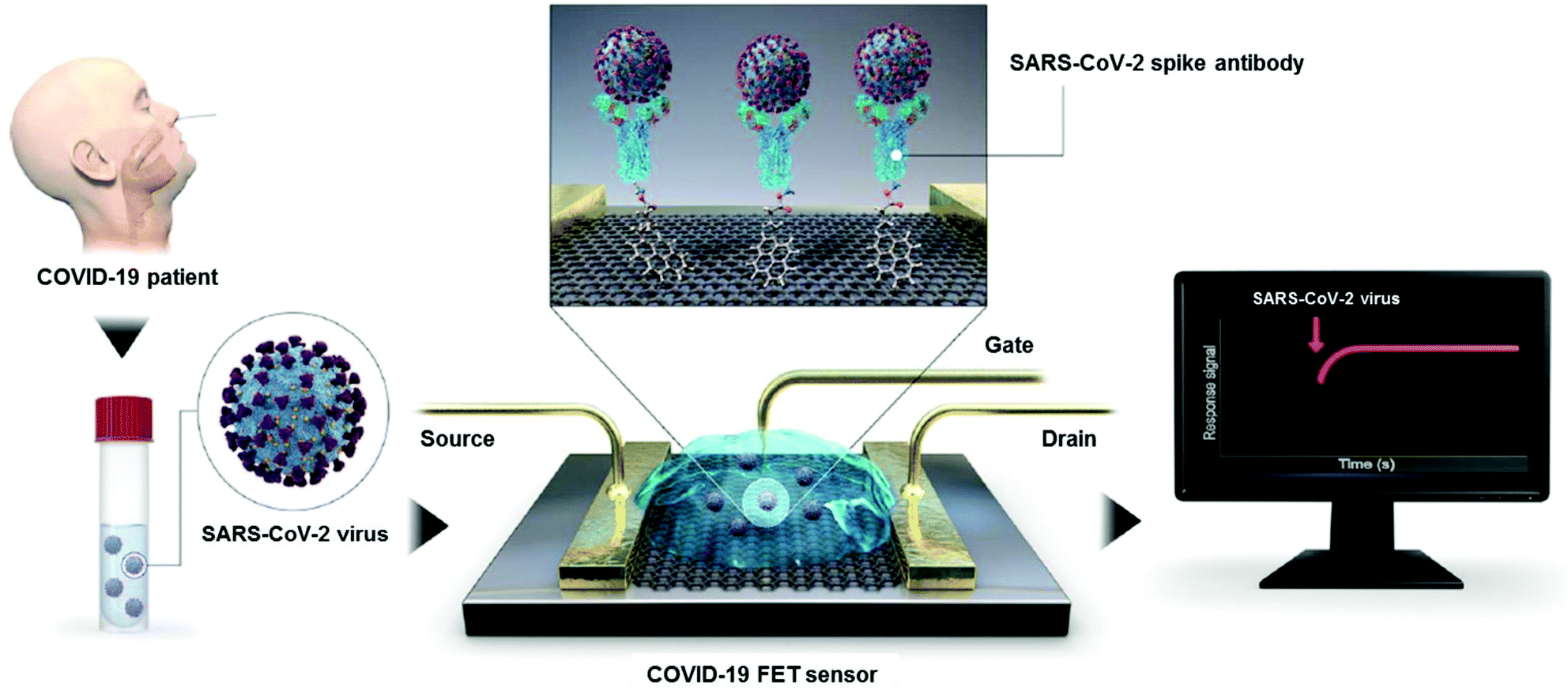 Detection of coronavirus in environmental surveillance and risk ...