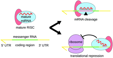 Advances in multiplexed techniques for the detection and quantification ...