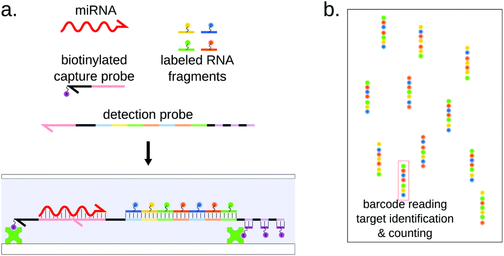 Advances in multiplexed techniques for the detection and quantification ...