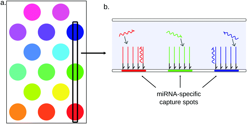 Advances in multiplexed techniques for the detection and quantification ...