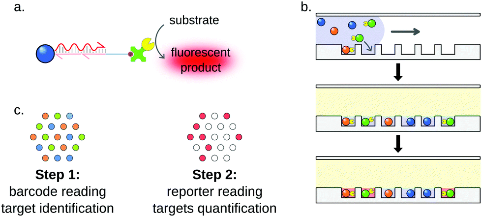 Advances in multiplexed techniques for the detection and quantification of microRNAs - Chemical ...