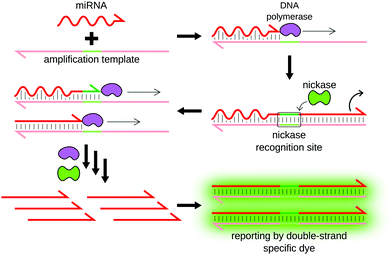 Advances in multiplexed techniques for the detection and quantification ...
