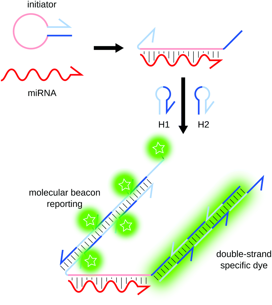 Advances in multiplexed techniques for the detection and quantification ...