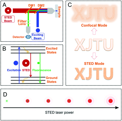 Recent advances in luminescent materials for super-resolution imaging ...