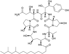 The multifaceted nature of antimicrobial peptides: current synthetic ...