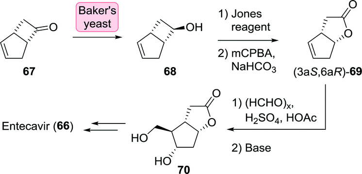 Biocatalytic routes to anti-viral agents and their synthetic ...