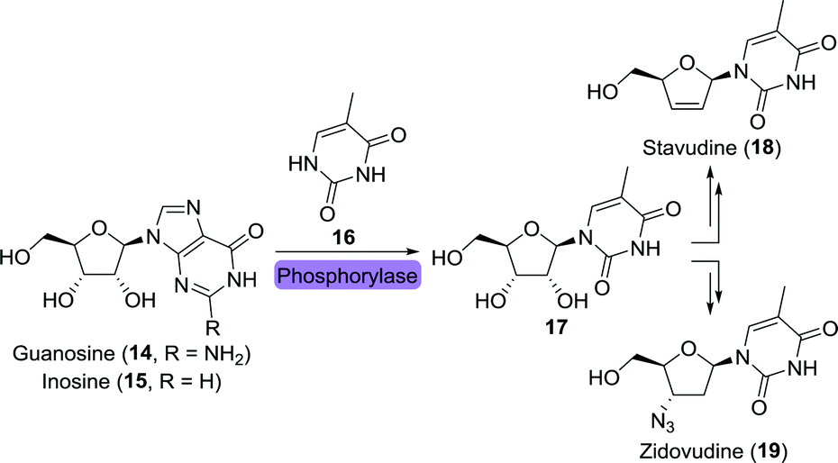 Biocatalytic routes to anti-viral agents and their synthetic ...