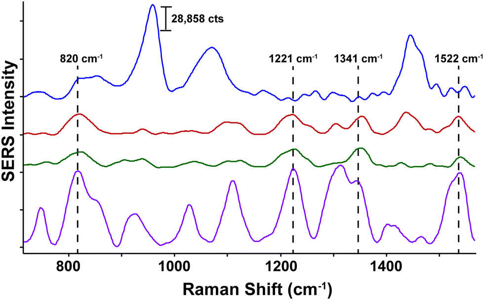 Spatially offset Raman spectroscopy for biomedical applications ...