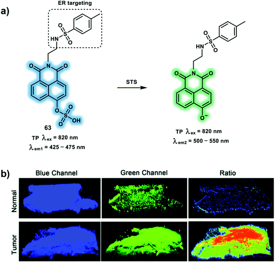 Two-photon small-molecule fluorescence-based agents for sensing ...