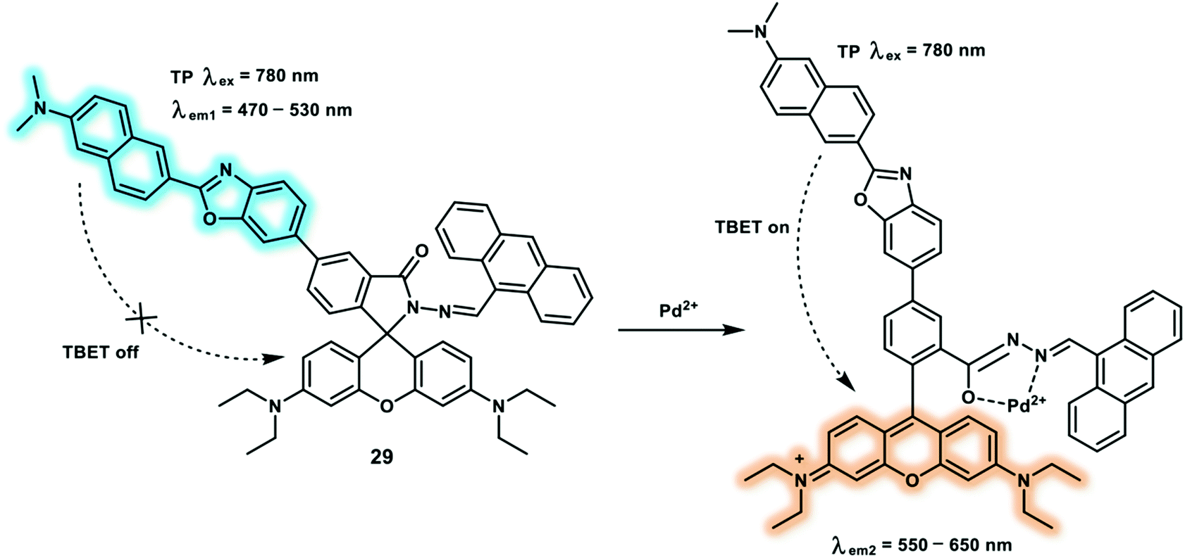 Two-photon small-molecule fluorescence-based agents for sensing ...