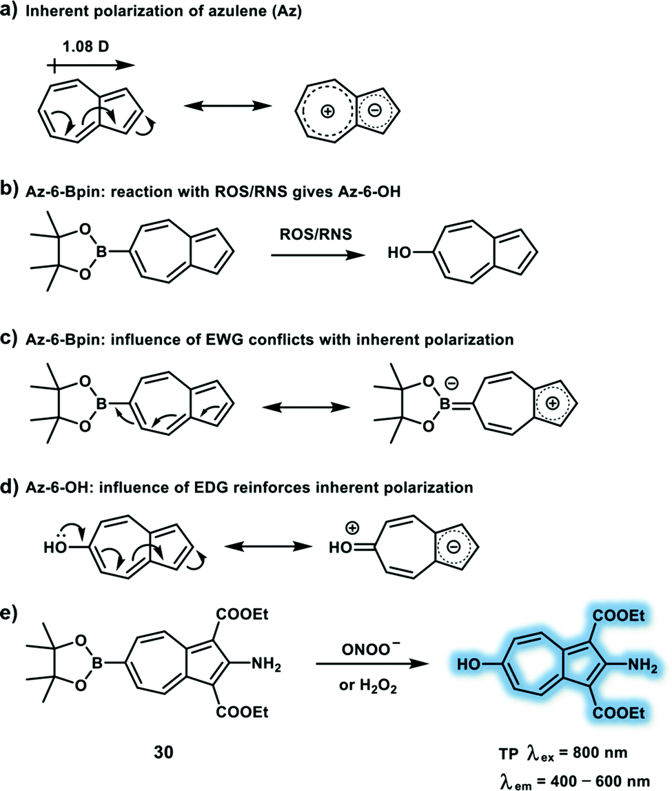 Two-photon small-molecule fluorescence-based agents for sensing ...