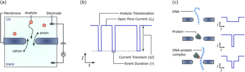 In situ solid-state nanopore fabrication - Chemical Society Reviews ...