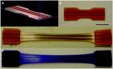Mechanochemical tools for polymer materials - Chemical Society Reviews ...