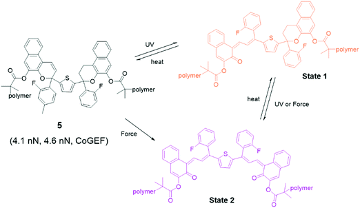Mechanochemical tools for polymer materials - Chemical Society Reviews ...