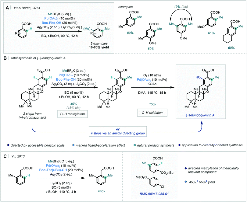 Installing the “magic methyl” – C–H methylation in synthesis - Chemical ...