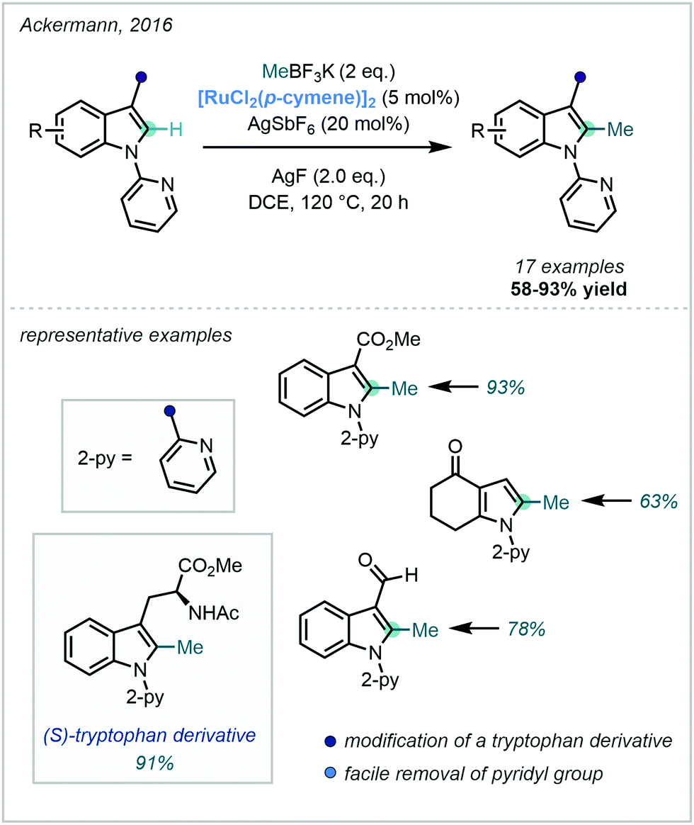 Installing the “magic methyl” – C–H methylation in synthesis - Chemical ...