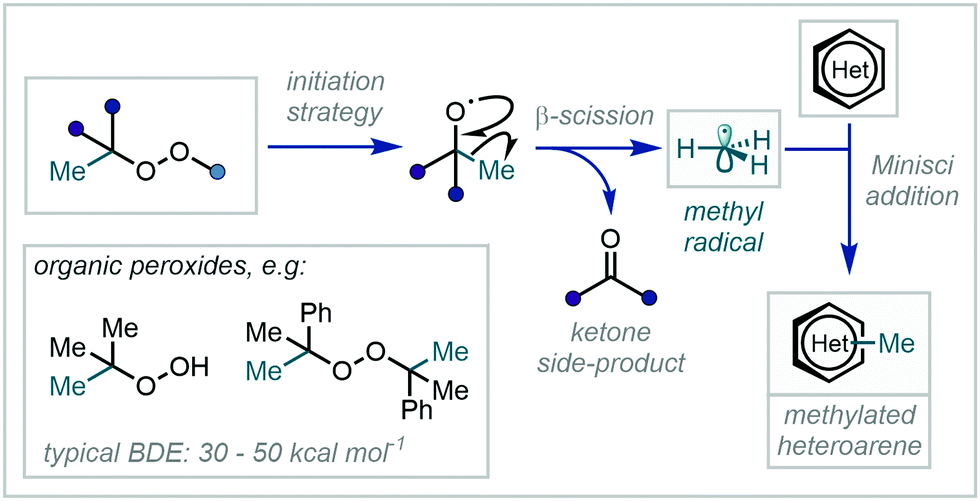 Installing the “magic methyl” – C–H methylation in synthesis - Chemical ...