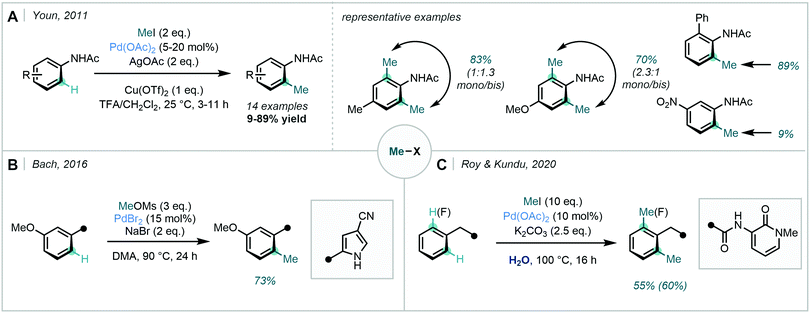 Installing the “magic methyl” – C–H methylation in synthesis - Chemical ...