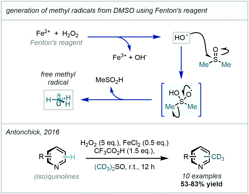 Installing the “magic methyl” – C–H methylation in synthesis - Chemical ...