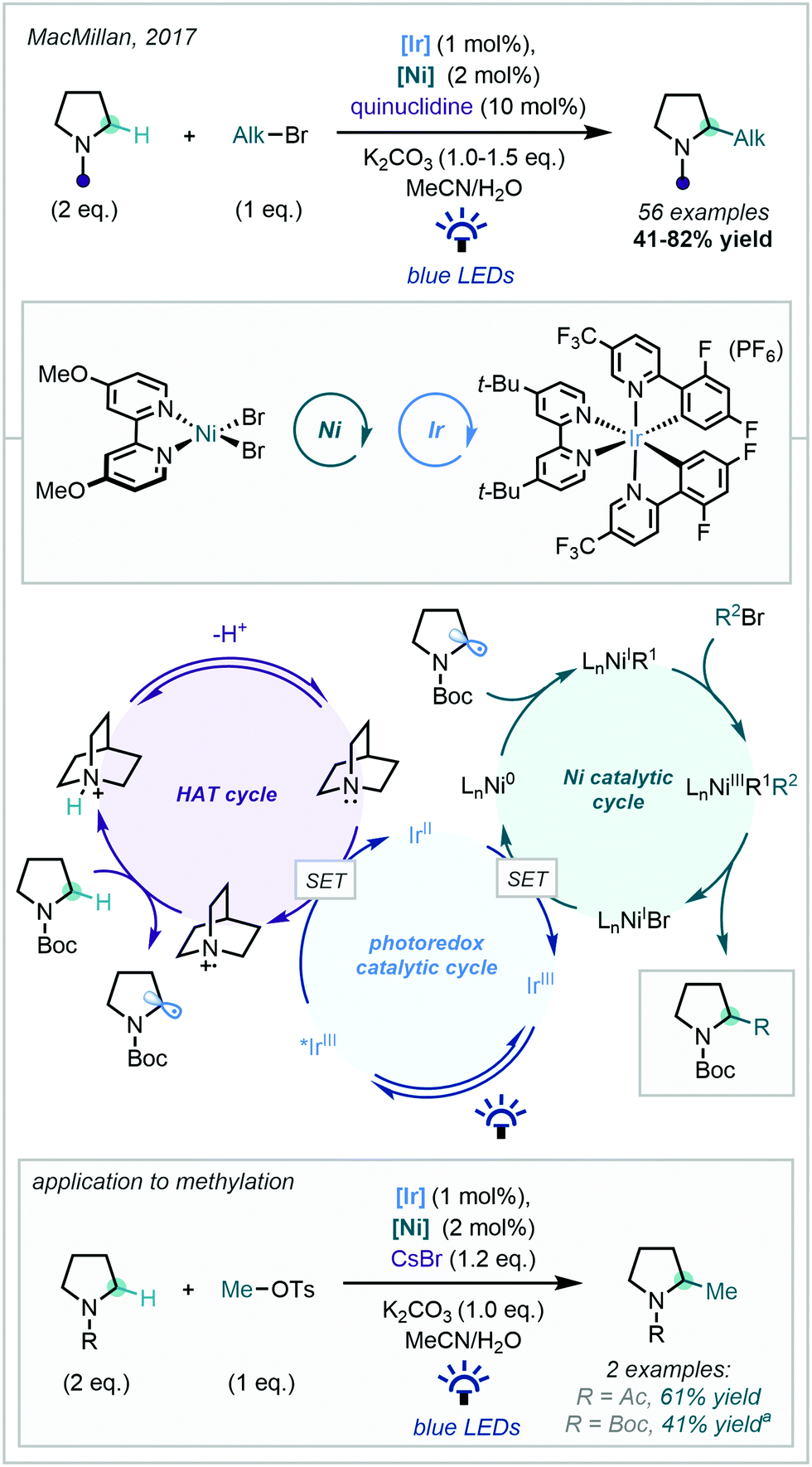 Installing the “magic methyl” – C–H methylation in synthesis - Chemical ...