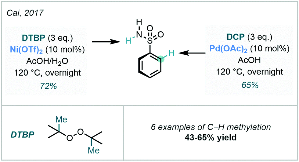 Installing the “magic methyl” – C–H methylation in synthesis - Chemical ...