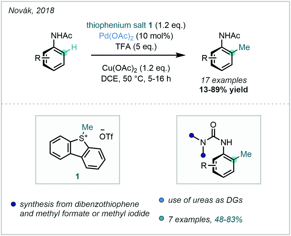 Installing the “magic methyl” – C–H methylation in synthesis - Chemical ...