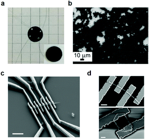 Two-dimensional conjugated metal–organic frameworks (2D c -MOFs ...