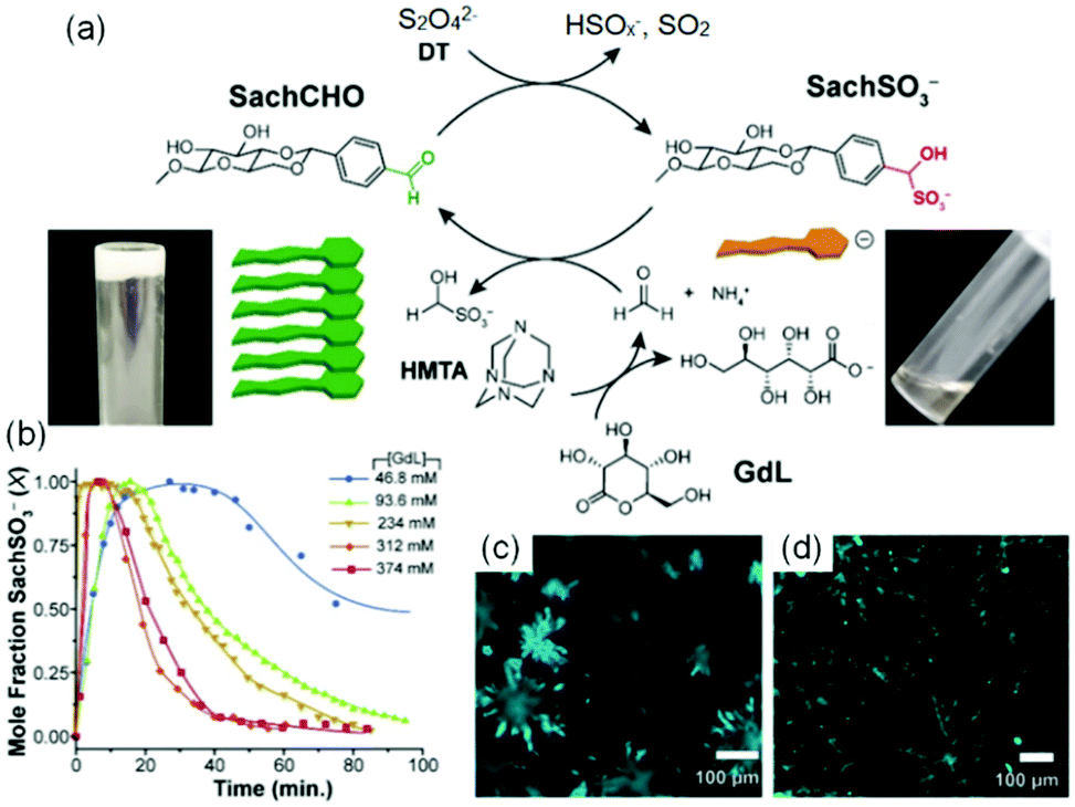 Stimuli responsive dynamic transformations in supramolecular gels ...
