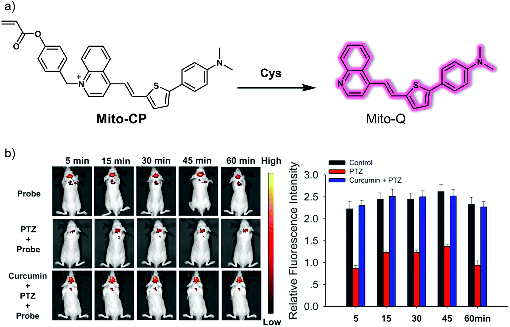 Small-molecule fluorescence-based probes for interrogating major organ ...