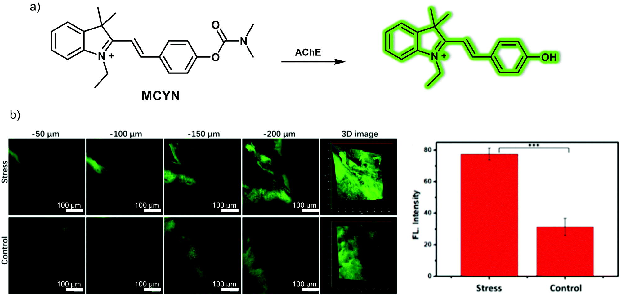 Small-molecule fluorescence-based probes for interrogating major organ ...