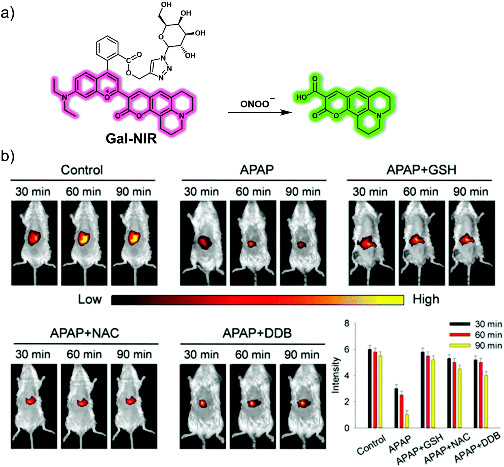 Small-molecule fluorescence-based probes for interrogating major organ ...