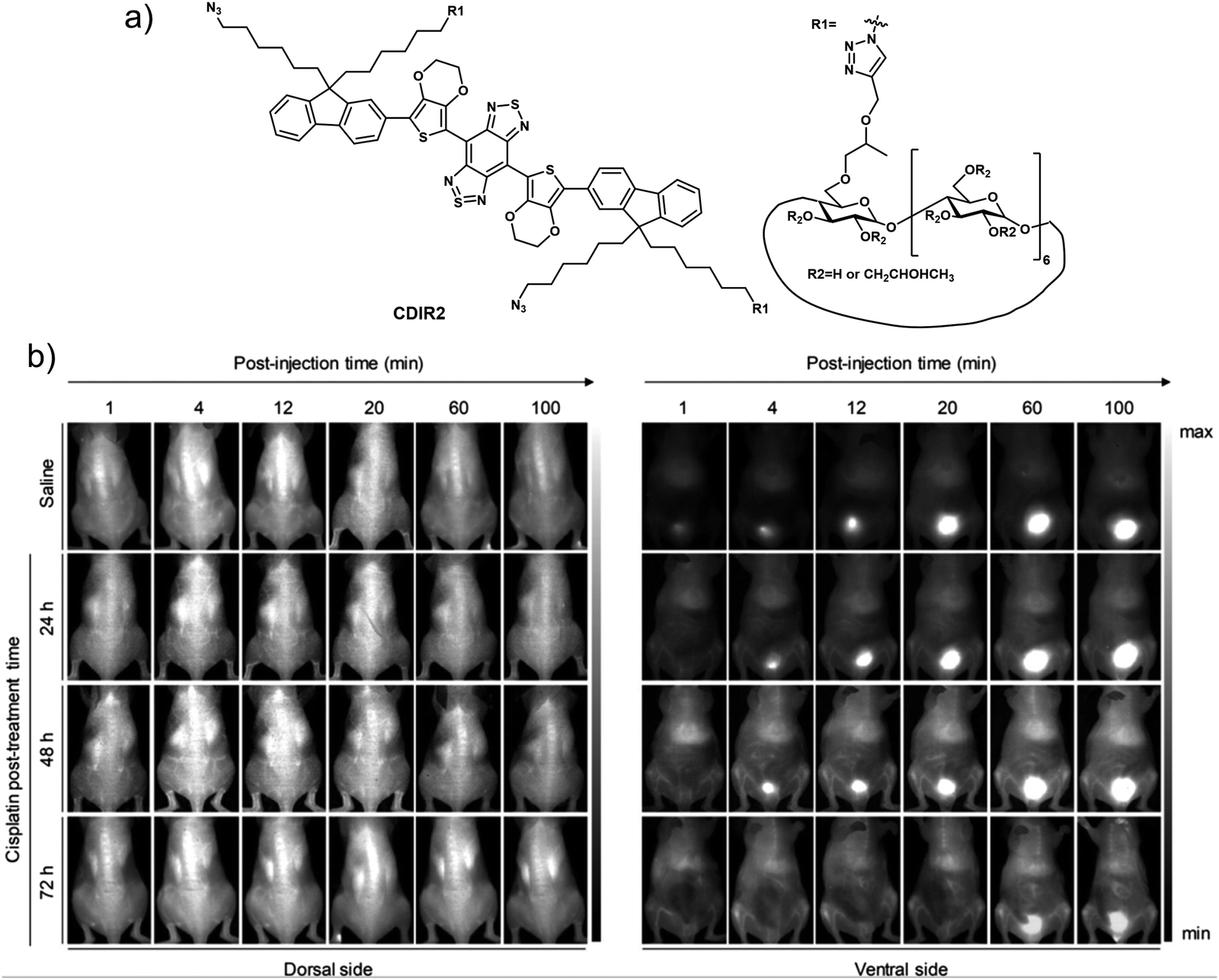 Small-molecule fluorescence-based probes for interrogating major organ diseases - Chemical ...