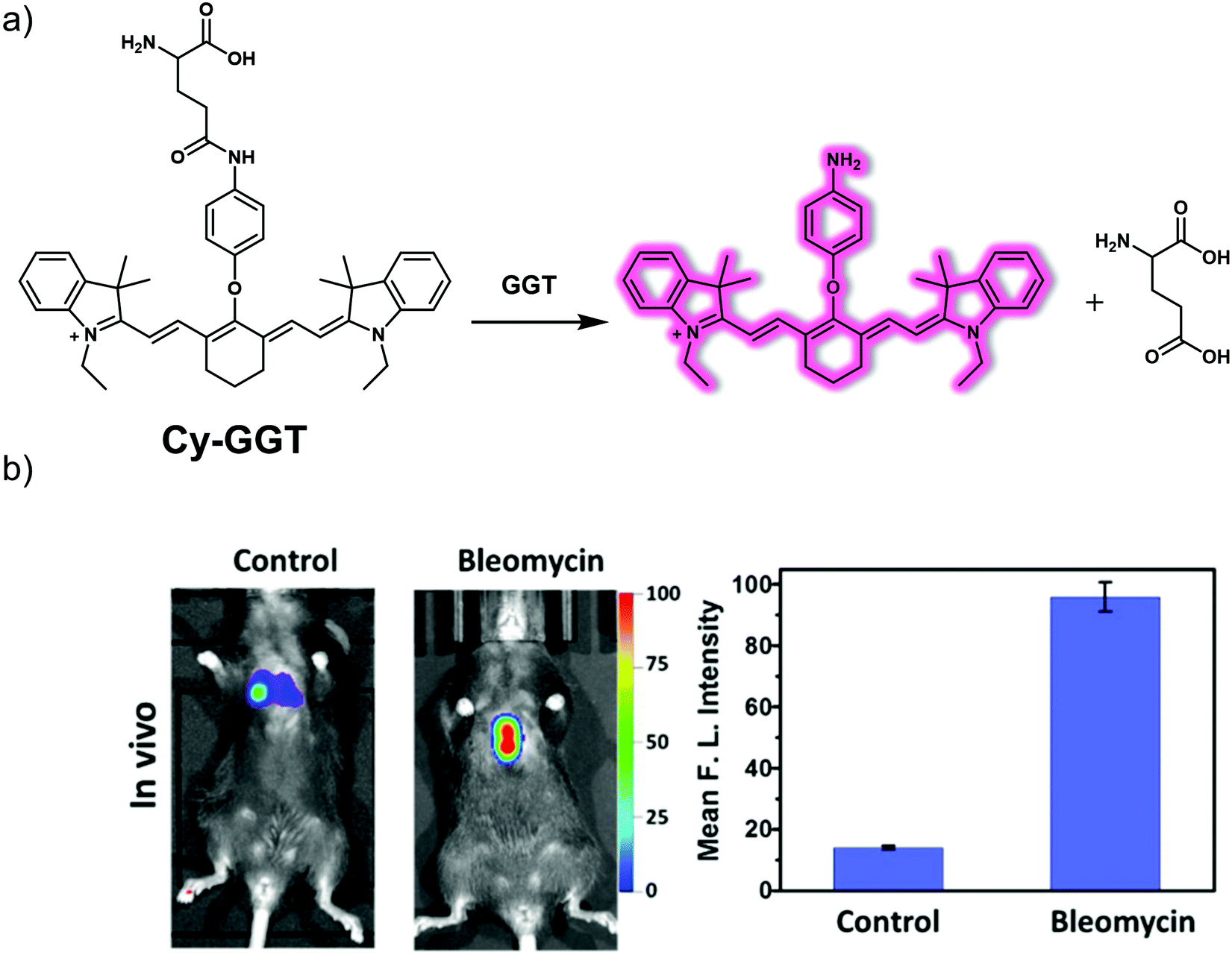 Small-molecule fluorescence-based probes for interrogating major organ ...