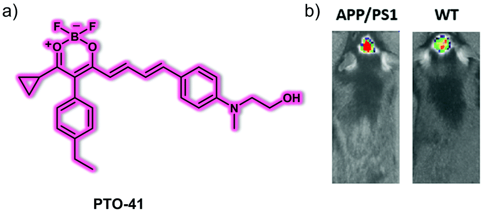 Small-molecule fluorescence-based probes for interrogating major organ ...