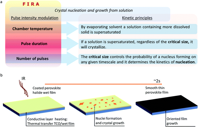 Rapid hybrid perovskite film crystallization from solution - Chemical ...
