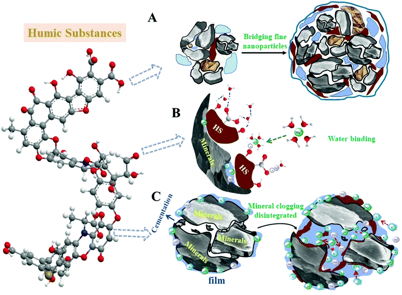 Natural and artificial humic substances to manage minerals, ions, water ...